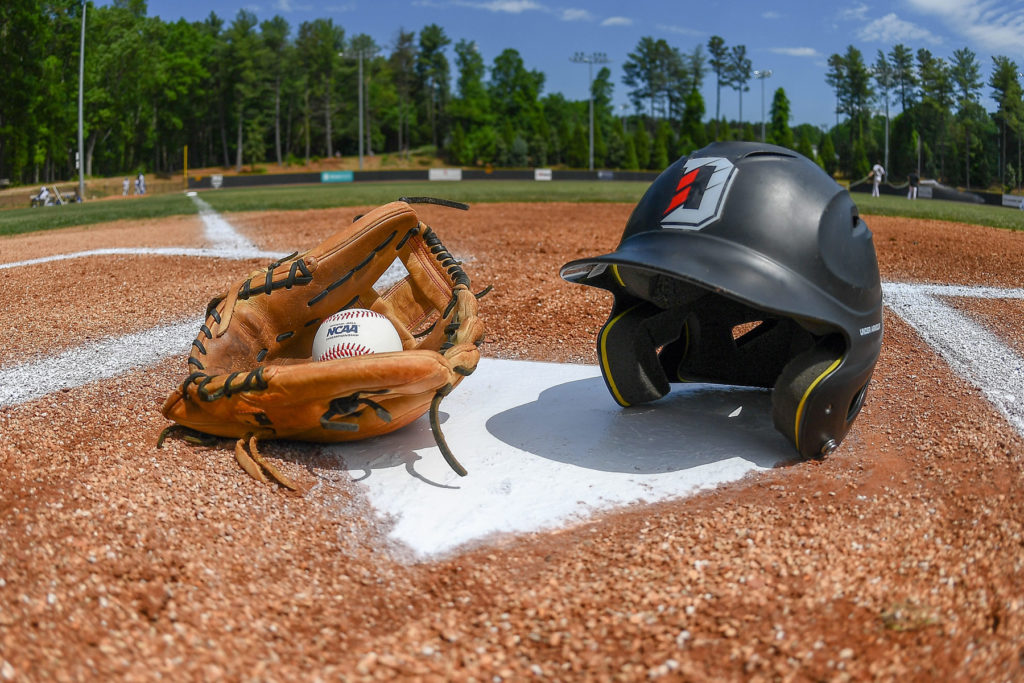Davidson Wildcat Baseball Camps - College Baseball Camps by ABC Sports ...
